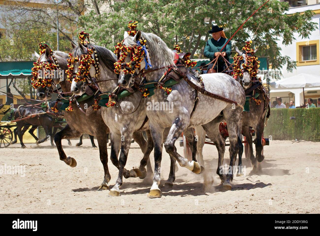 Carriage and horses in tandem hi-res stock photography and images - Alamy