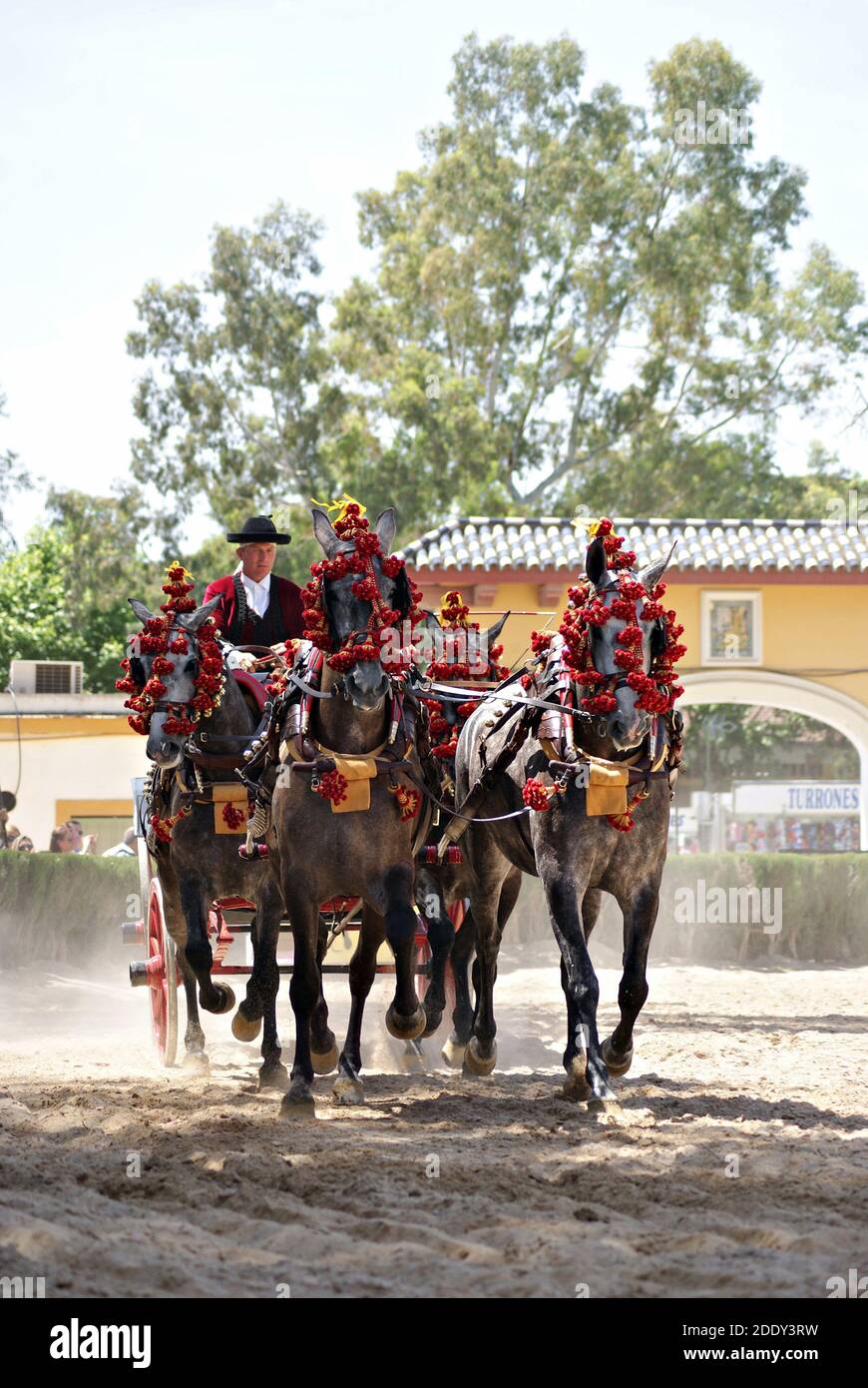 Tandem carriage hi-res stock photography and images - Alamy