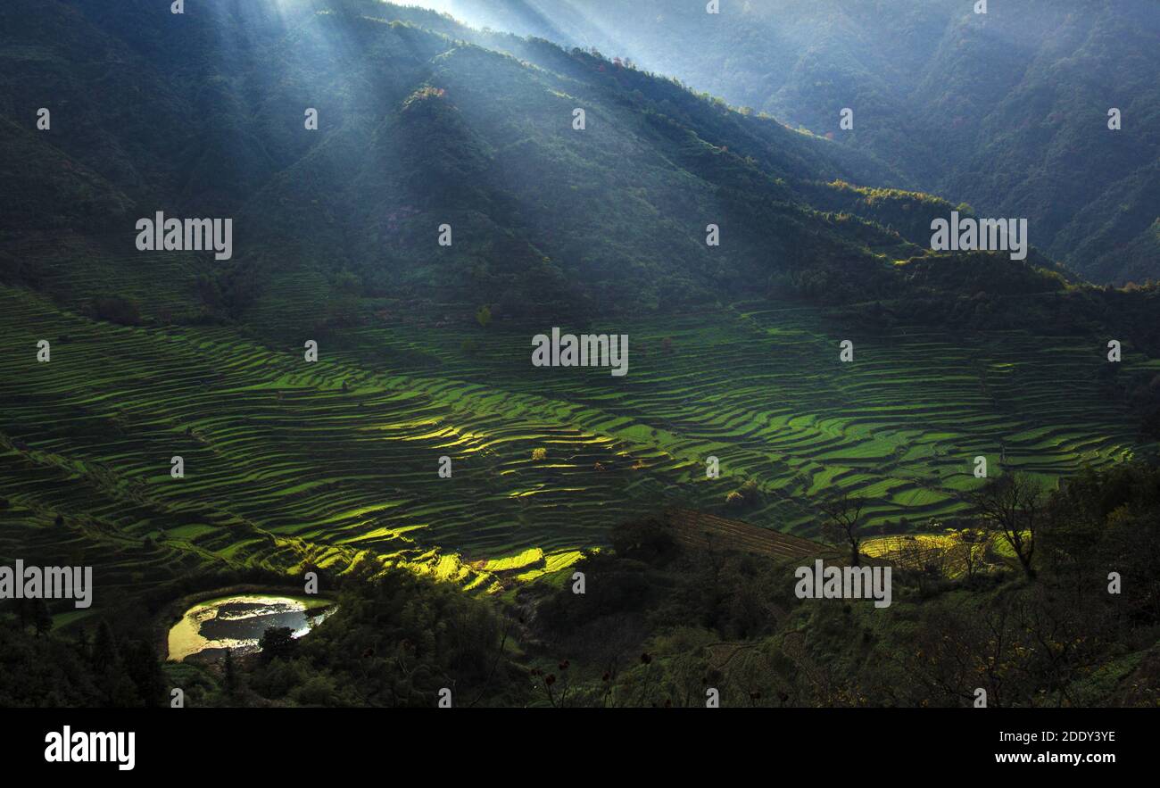 The sun shines Stock Photo - Alamy