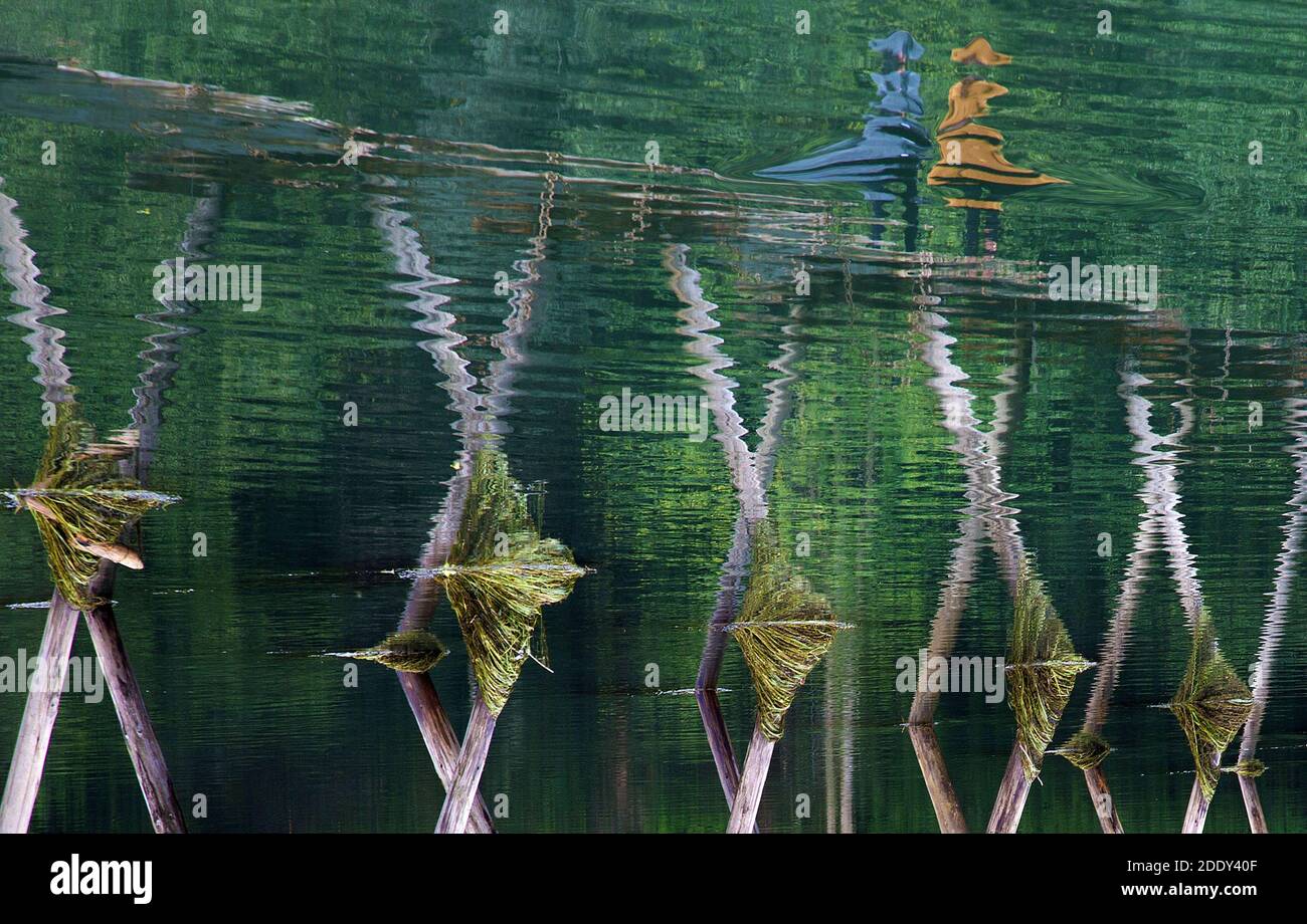 The water bridge Stock Photo - Alamy