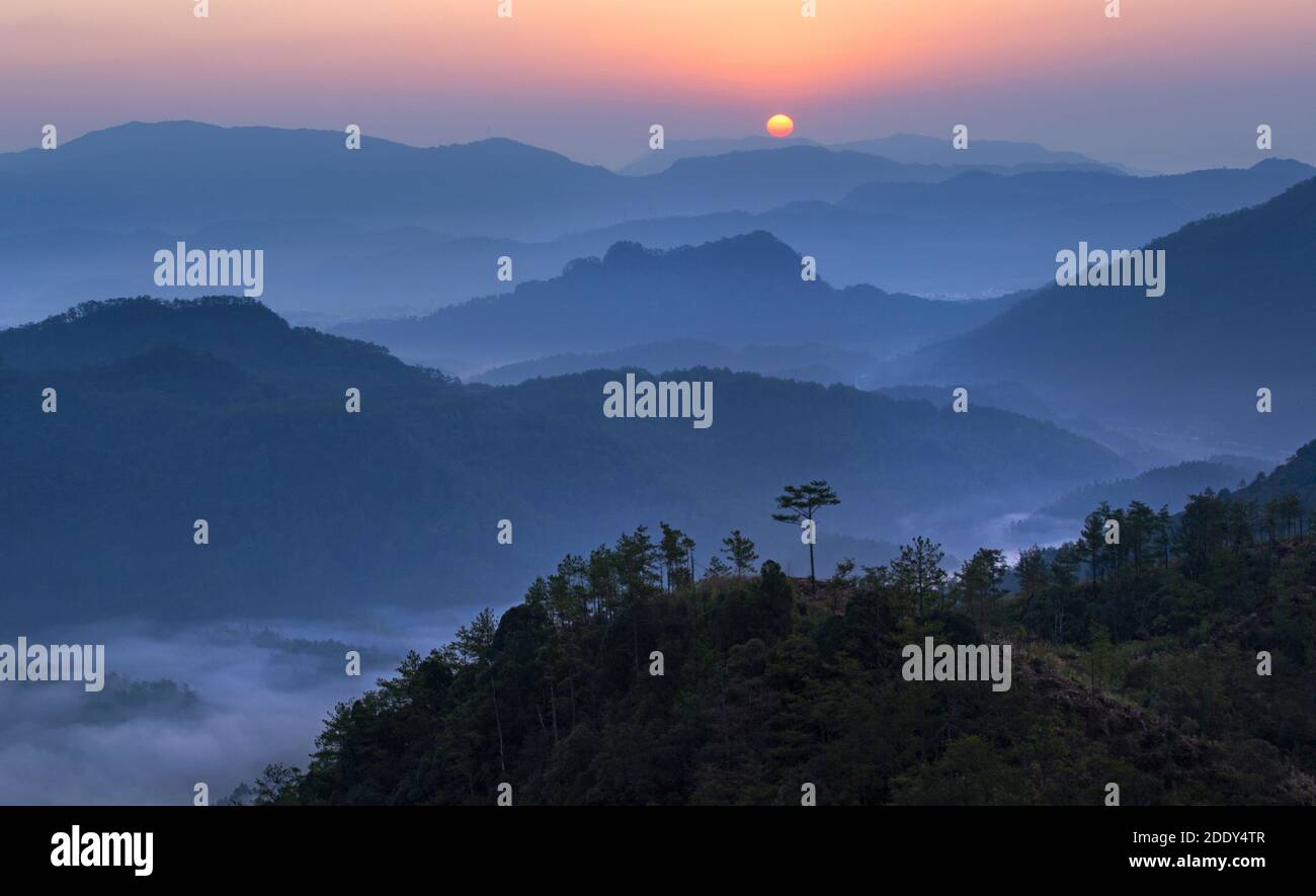 The morning bath Stock Photo - Alamy