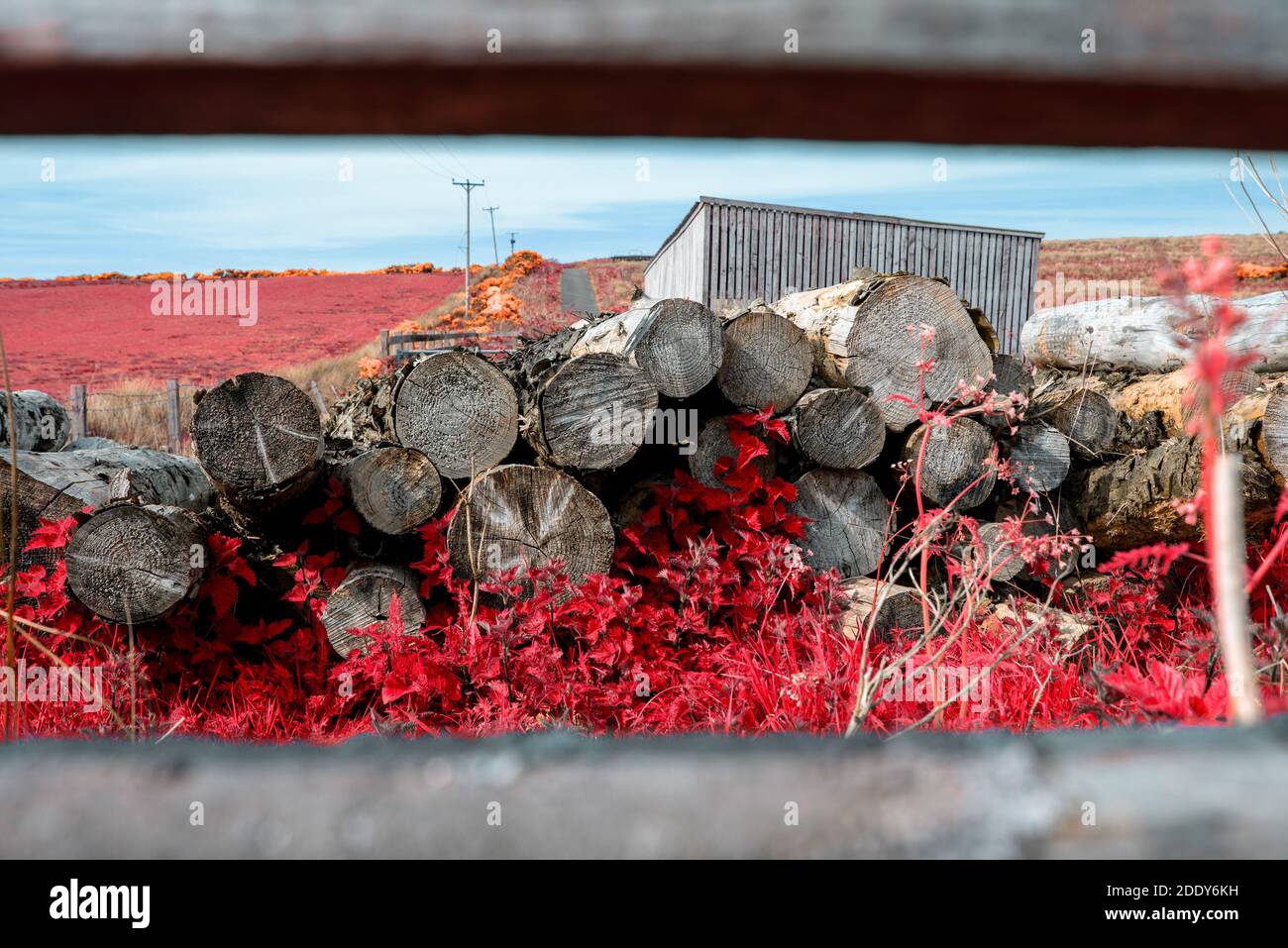 Infrared Red Logs Stock Photo - Alamy