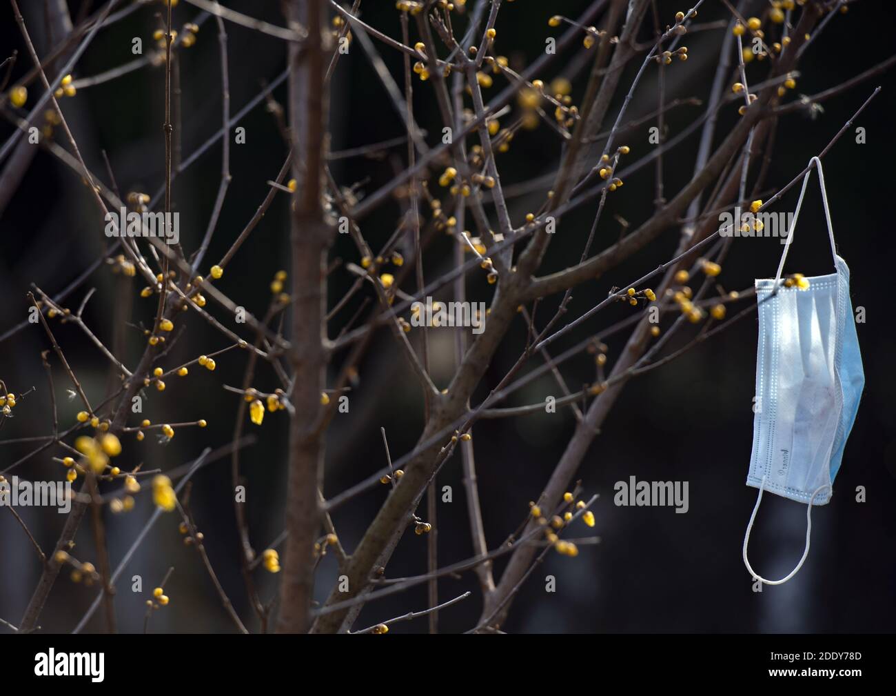 "Mask" the spring Stock Photo - Alamy