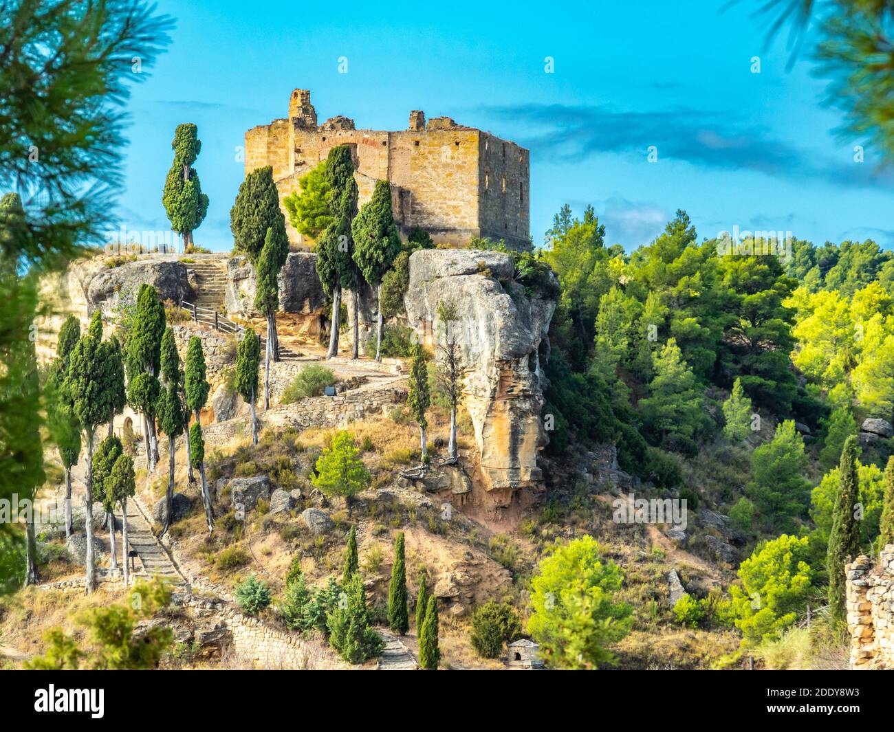 An old historical castle on top of a hill surrounded by trees Stock ...