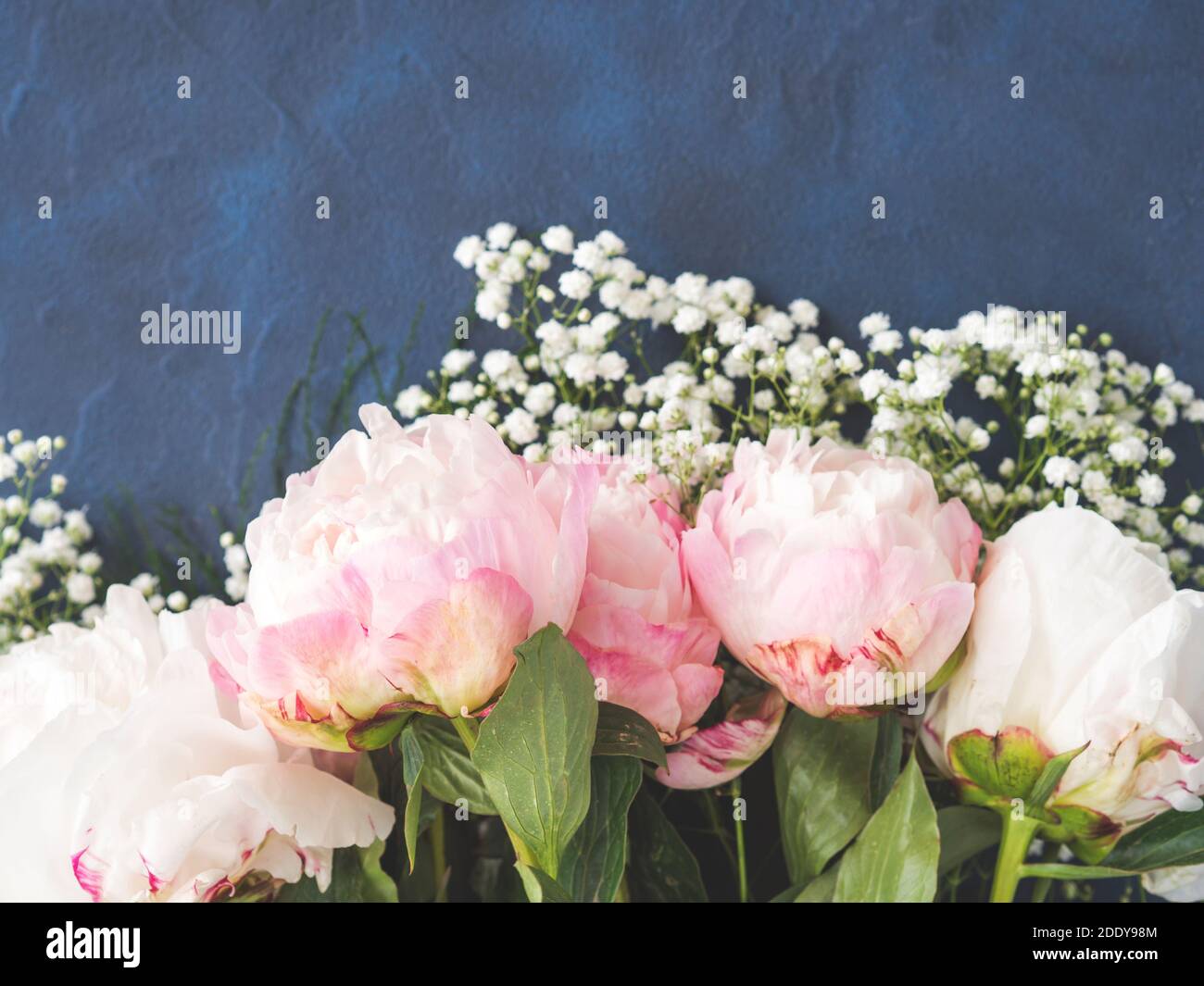 Pastel pink peonies hi-res stock photography and images - Alamy