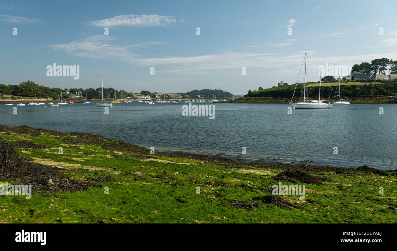 Aber benoit in Brittany (France) on a sunny day in summer, low tide ...