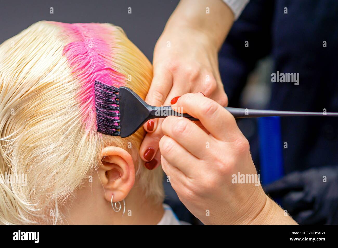 Hand with paintbrush dyeing white hair of a woman in pink color at a ...