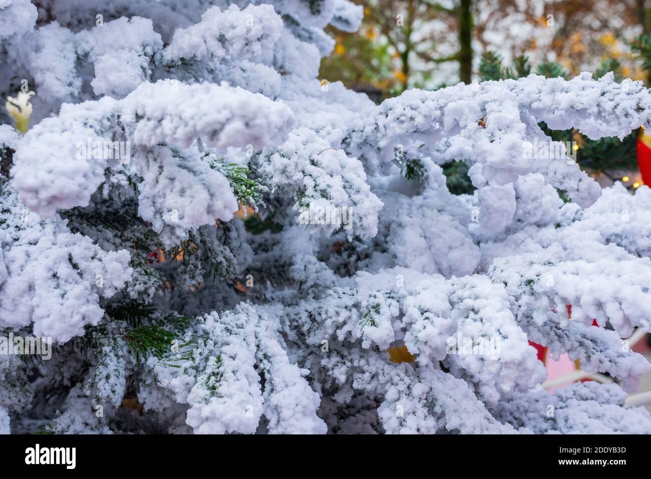 Beautiful outdoor Christmas tree close up with realistic fake snow on ...
