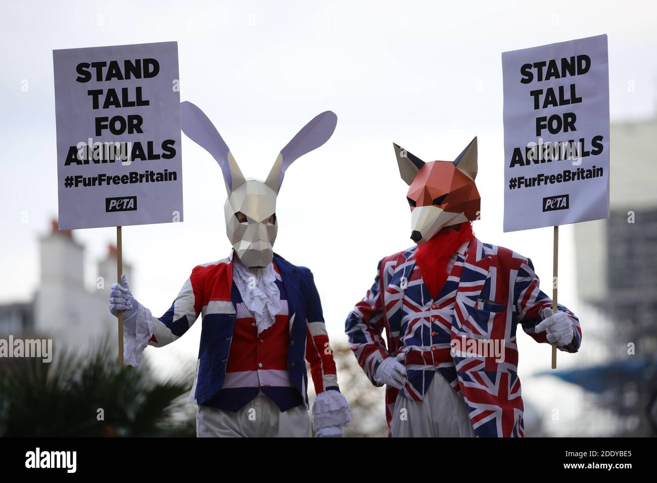 Protesters from PETA animal rights group demonstrates against fox ...