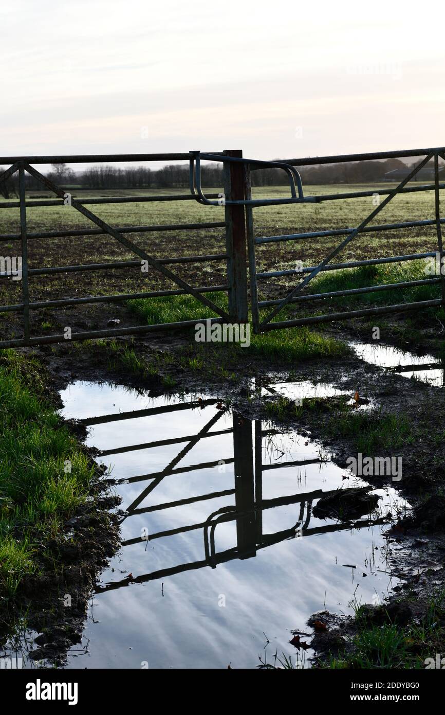 Reflection mirror hi hi-res stock photography and images - Alamy