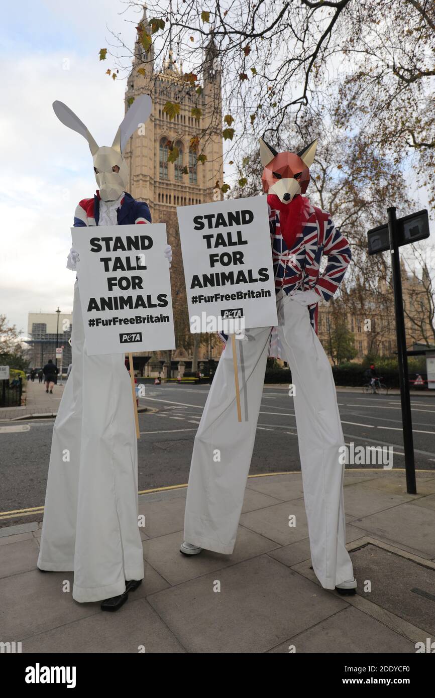 Protesters from PETA animal rights group demonstrates against fox ...