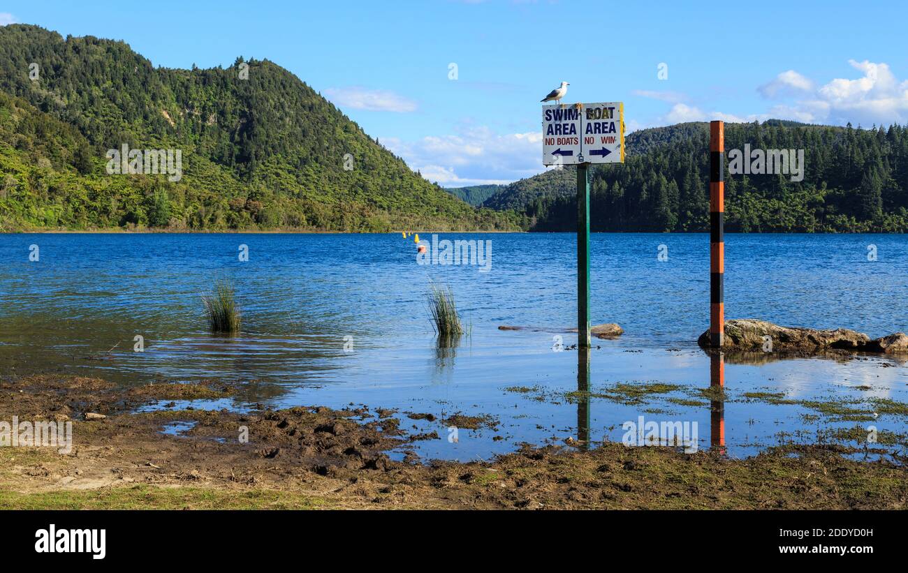 Panorama of Lake Tikitapu, or the Blue Lake, in the Rotorua area, New ...