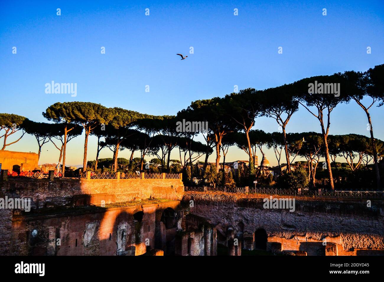 Oppian hill hi-res stock photography and images - Alamy