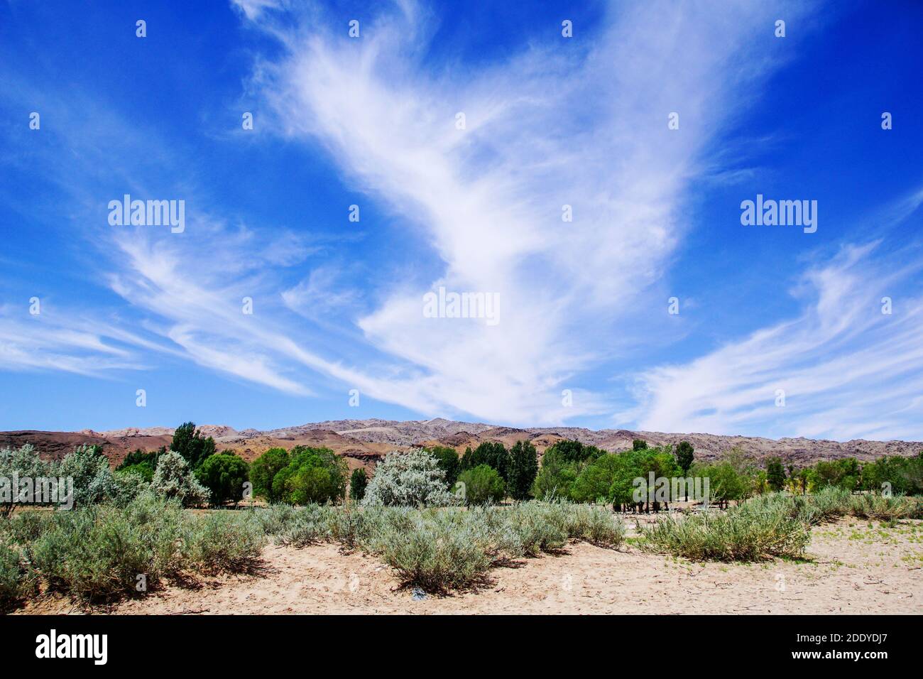 Cloud thin wood Stock Photo - Alamy