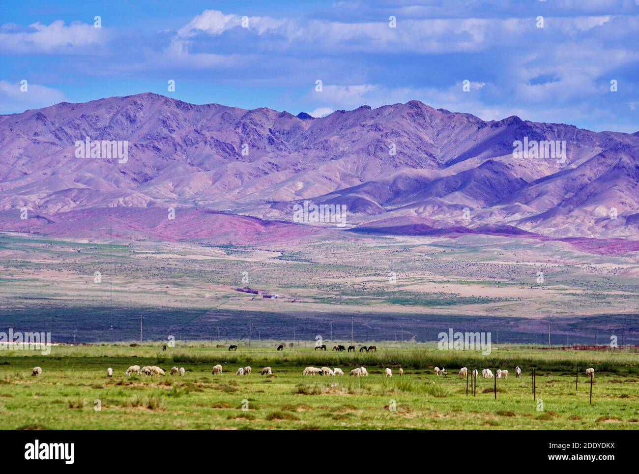 The north of yinshan pastures Stock Photo - Alamy