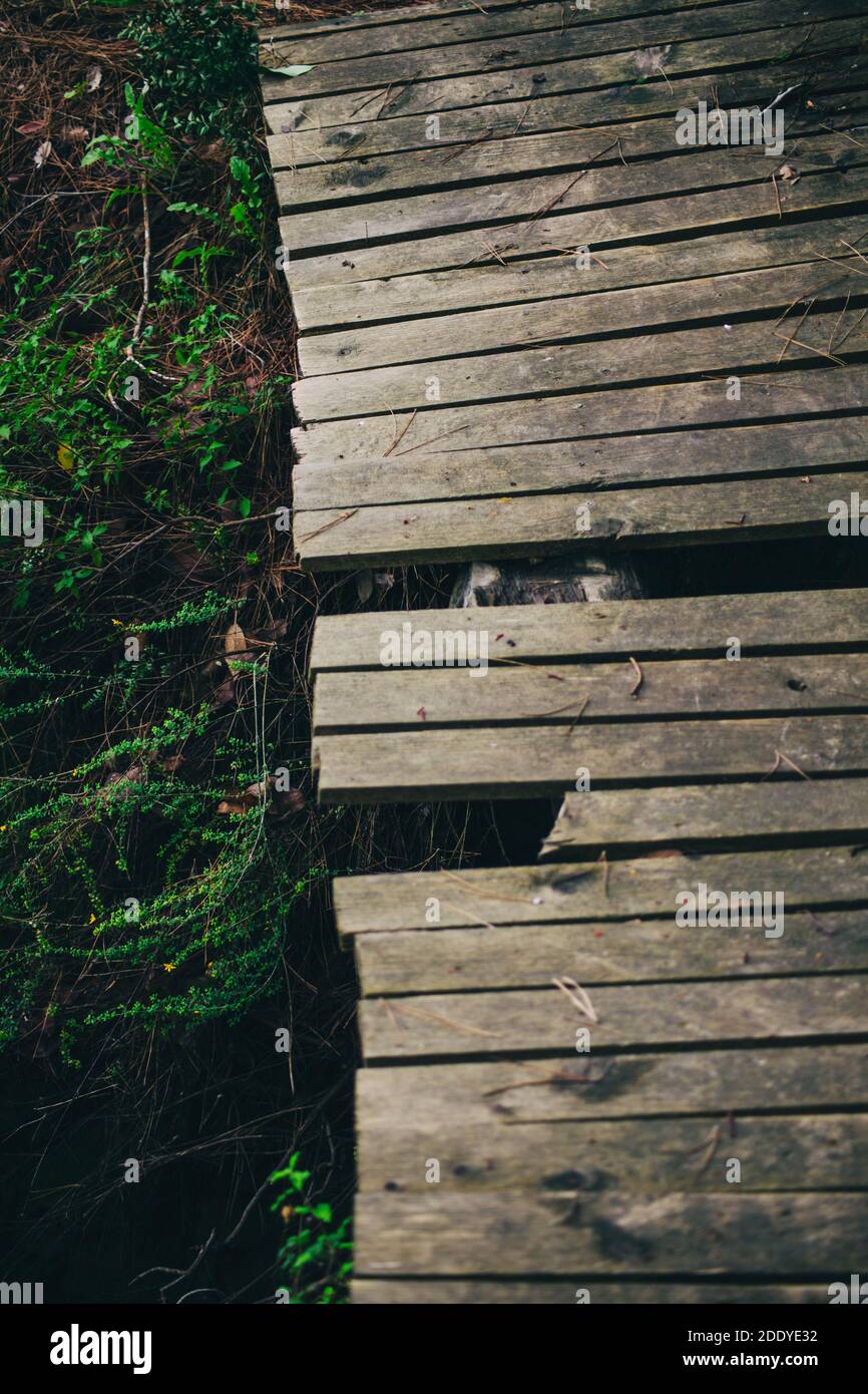 Old ruined Wooden panels Bridge in Nature Close up Stock Photo - Alamy