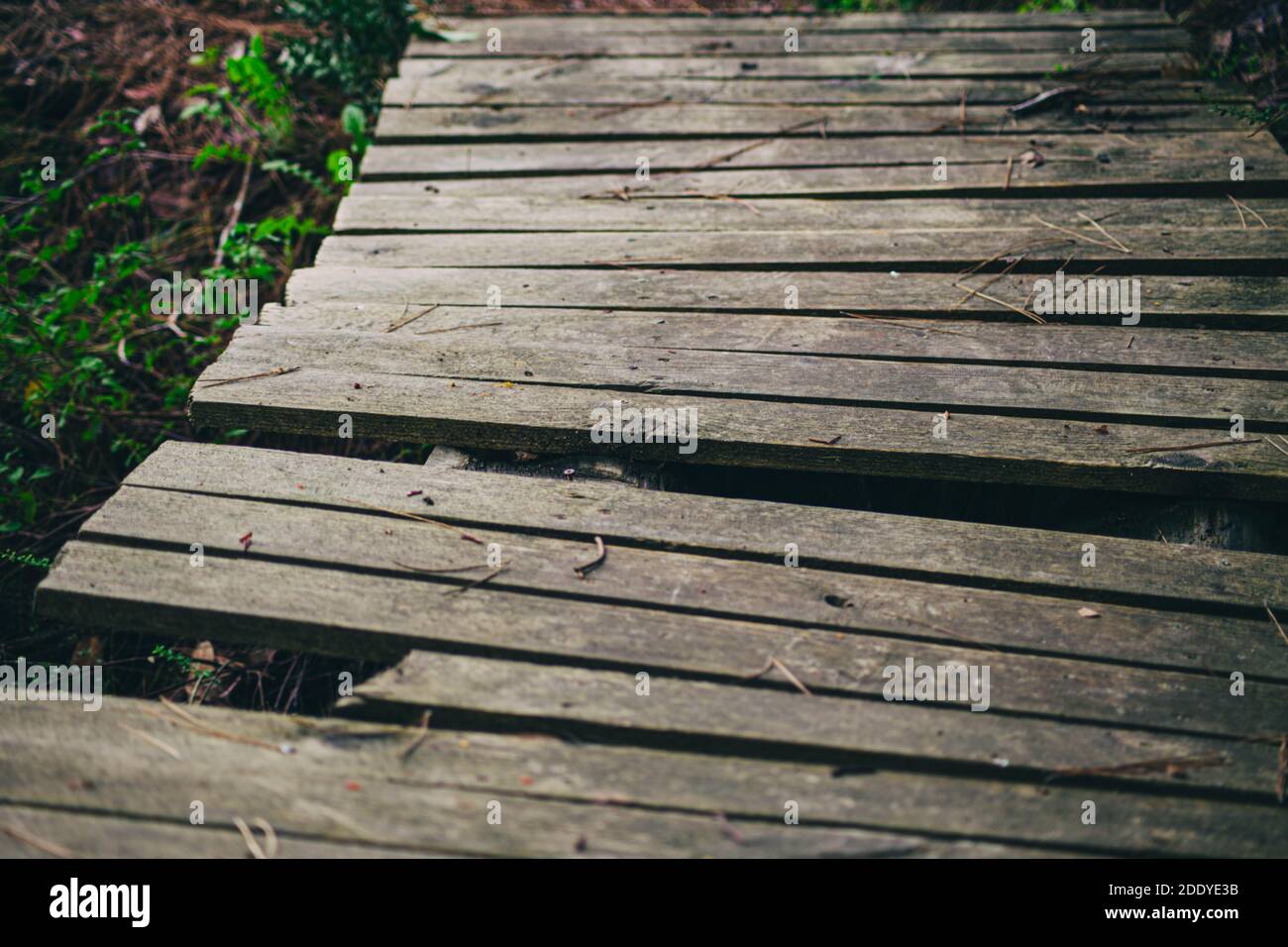 Ruined board walk hi-res stock photography and images - Alamy