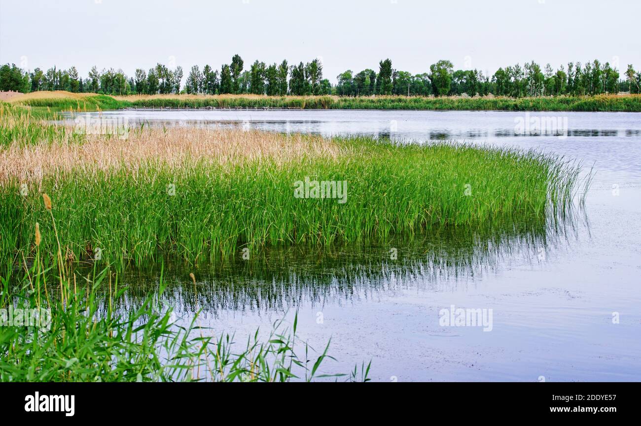 Er lake hi-res stock photography and images - Alamy