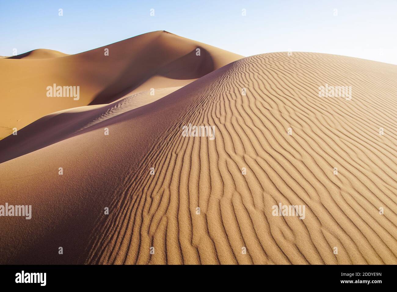 Pastoral texture hi-res stock photography and images - Alamy