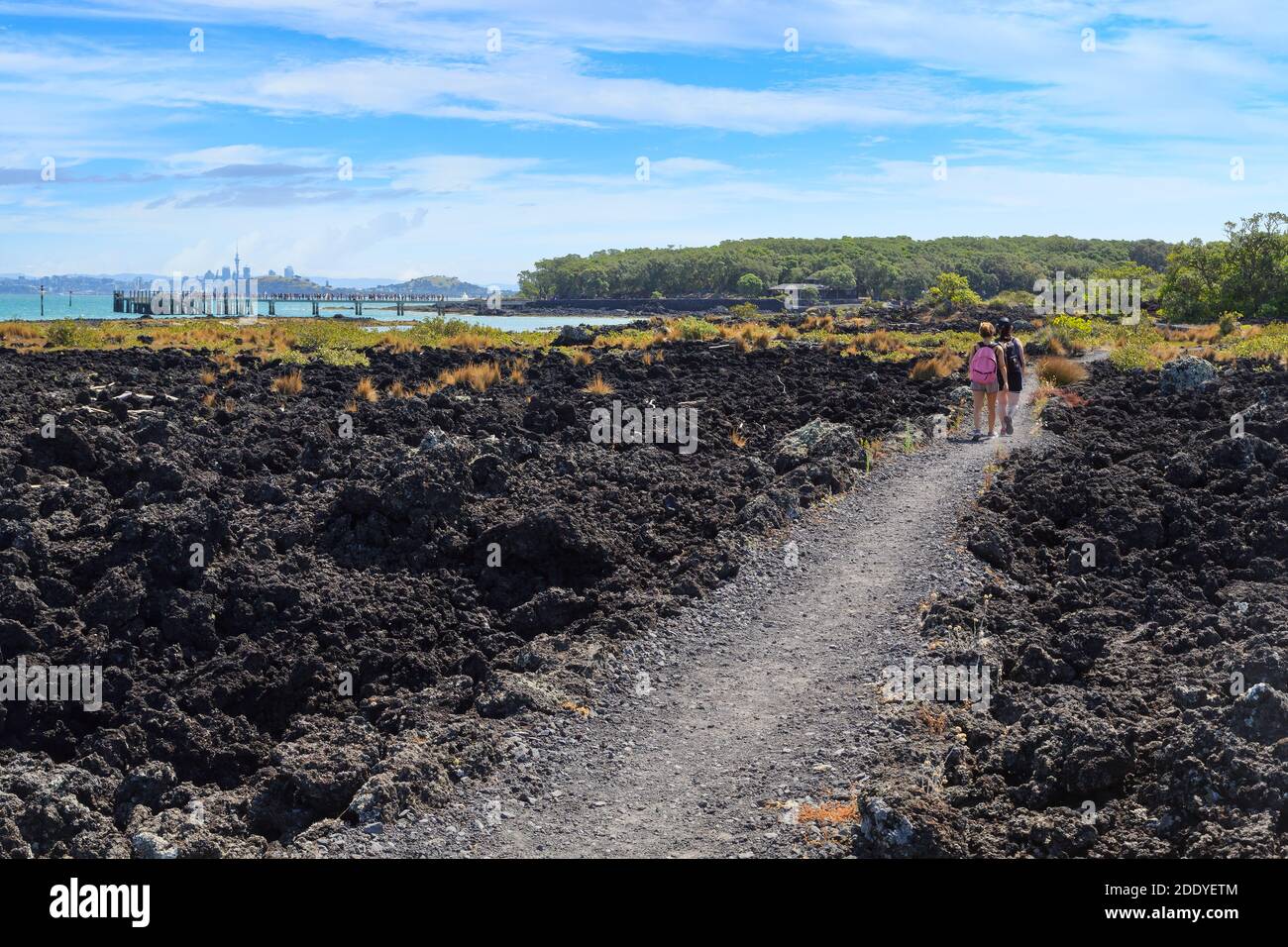 A walking track through the black lava fields of volcanic Rangitoto ...