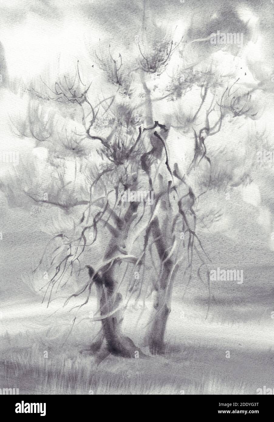 Forest drawing old hi-res stock photography and images - Alamy