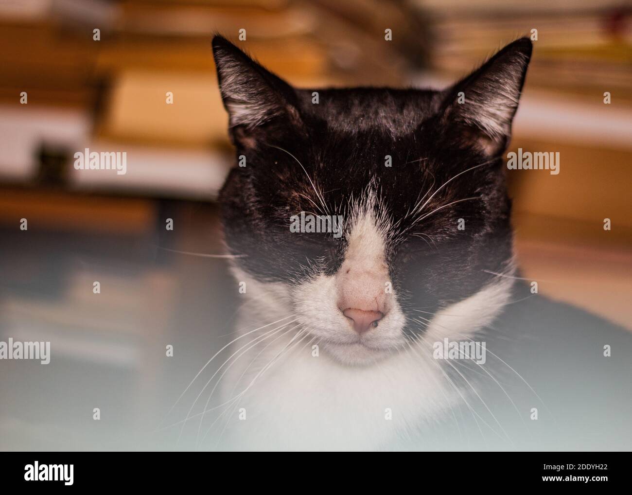 Being relaxed hi-res stock photography and images - Alamy