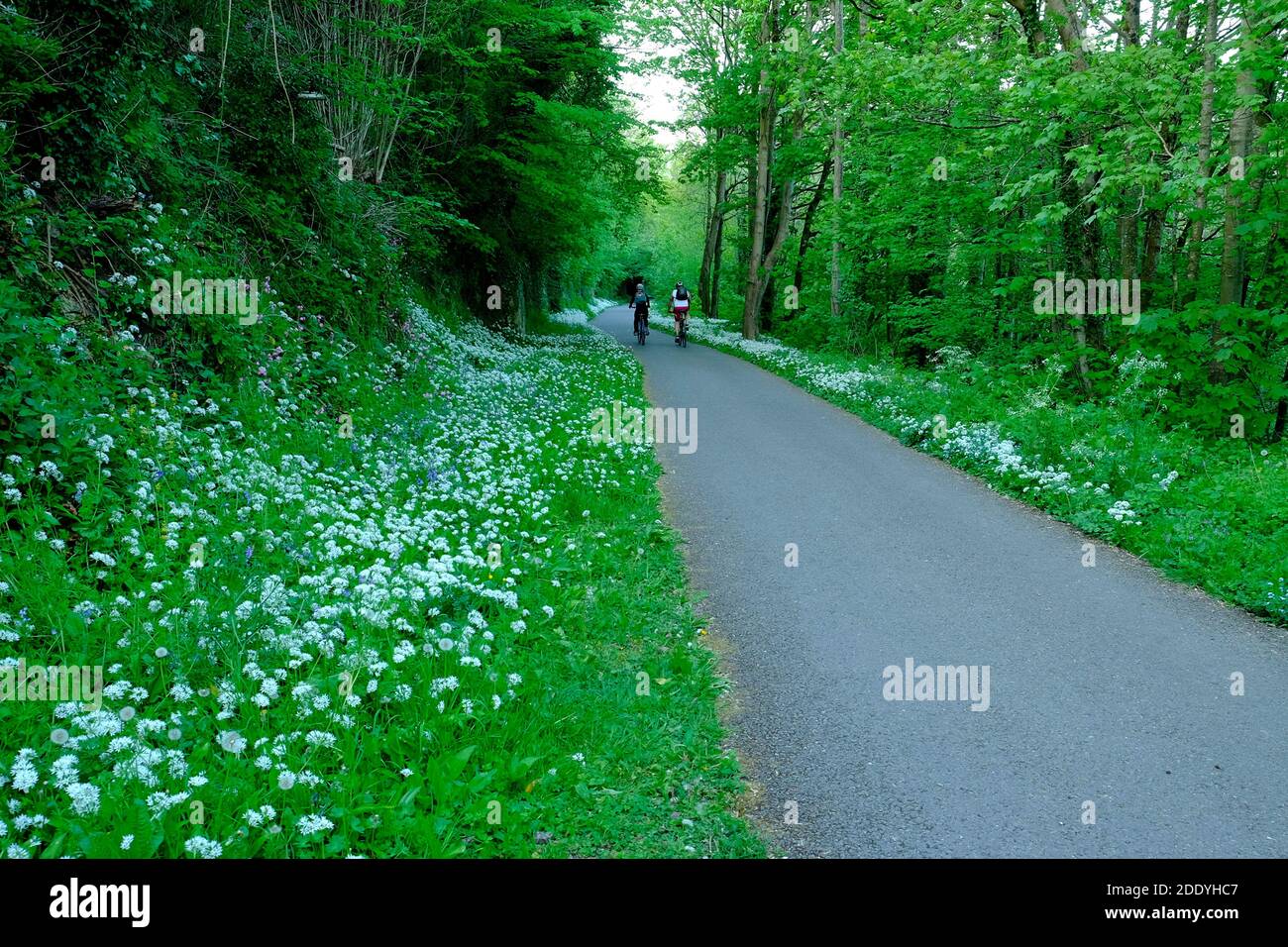 The Two Tunnels Way Sustrans National Cycle Network Cycle Path, near ...