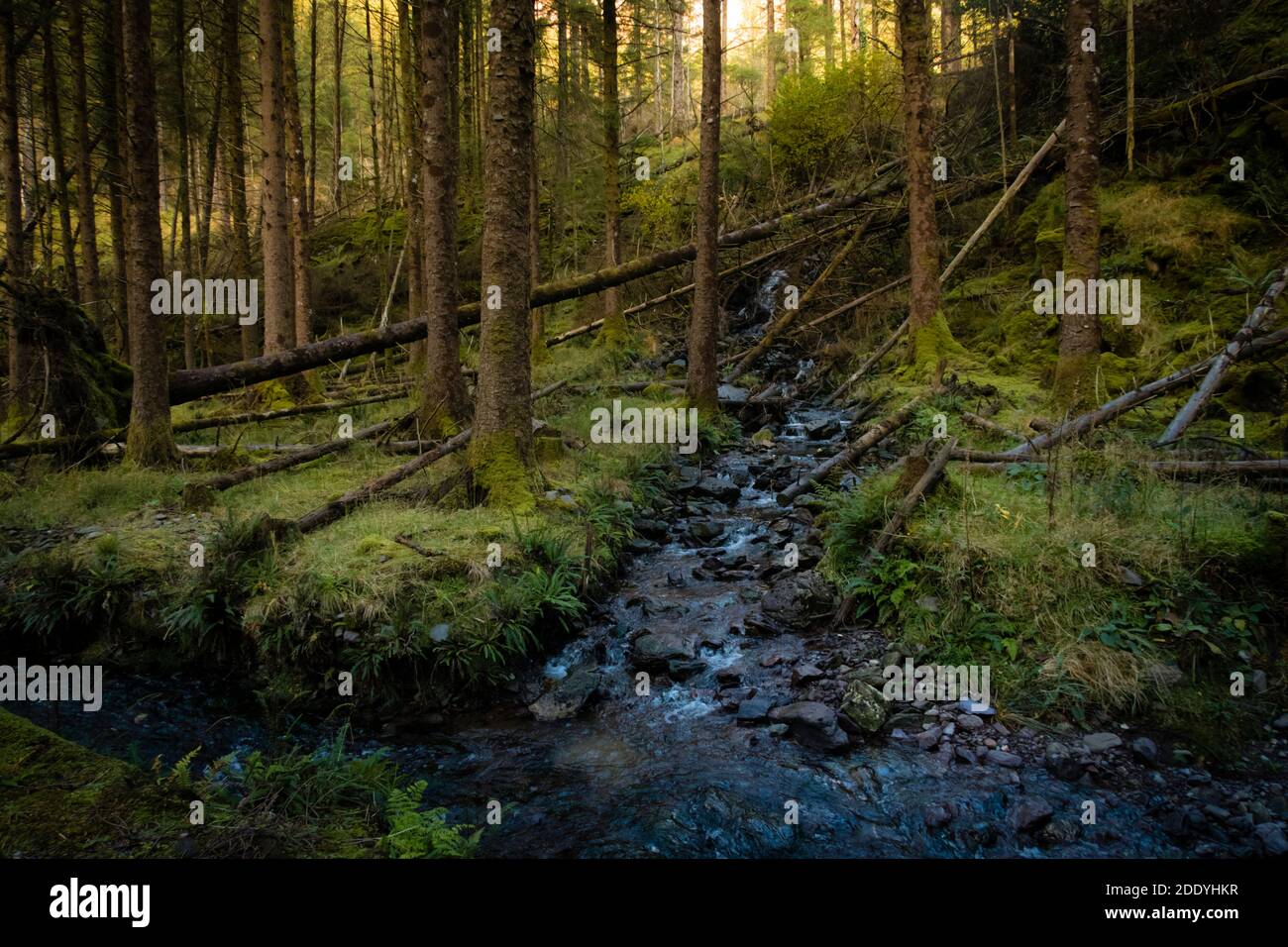 Source of the river lee hi-res stock photography and images - Alamy