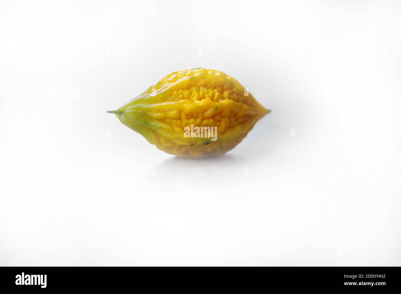 Close up of yellow bitter gourd with isolated background, the ...