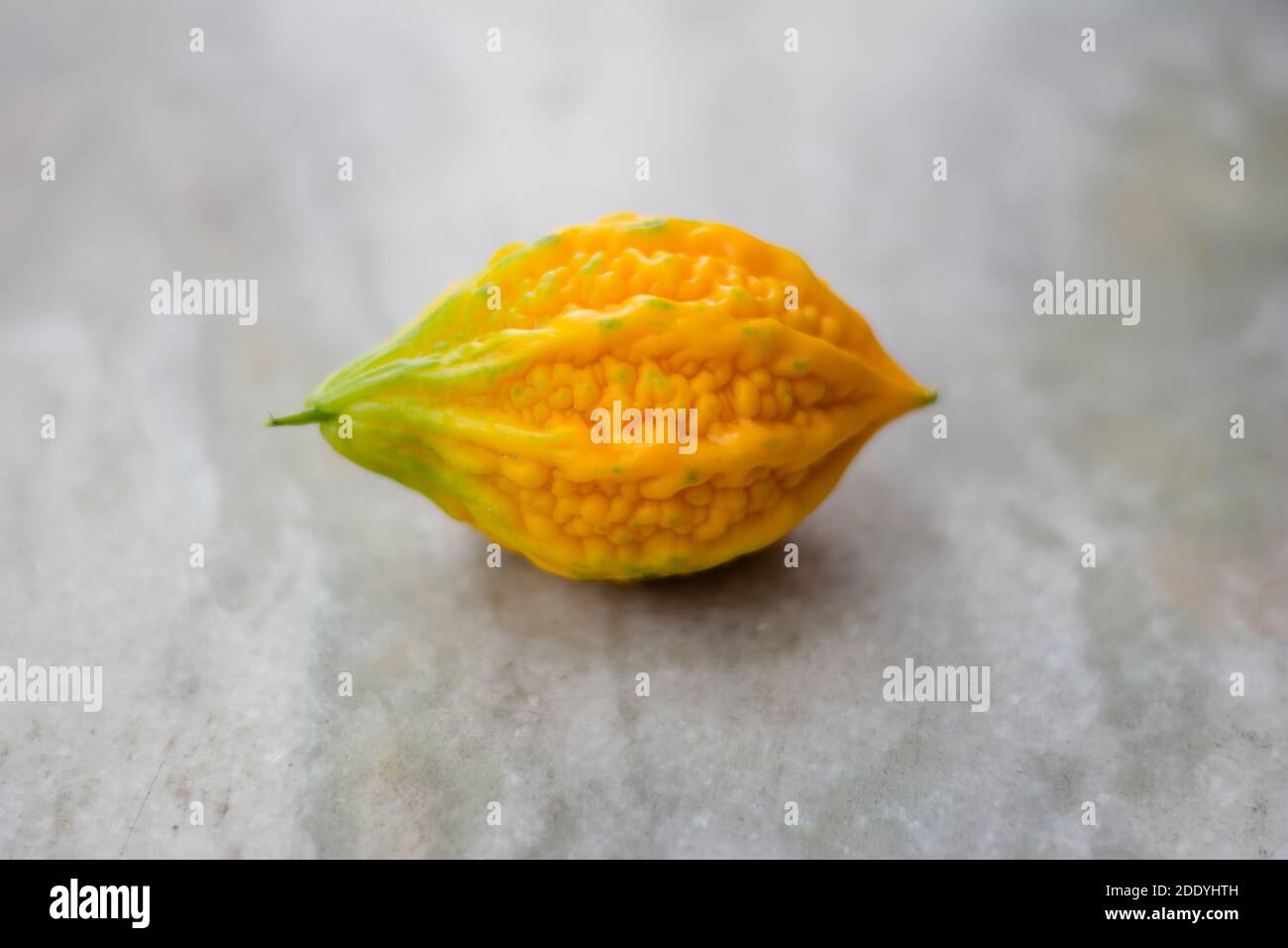 Close up of yellow bitter gourd with isolated background, the ...
