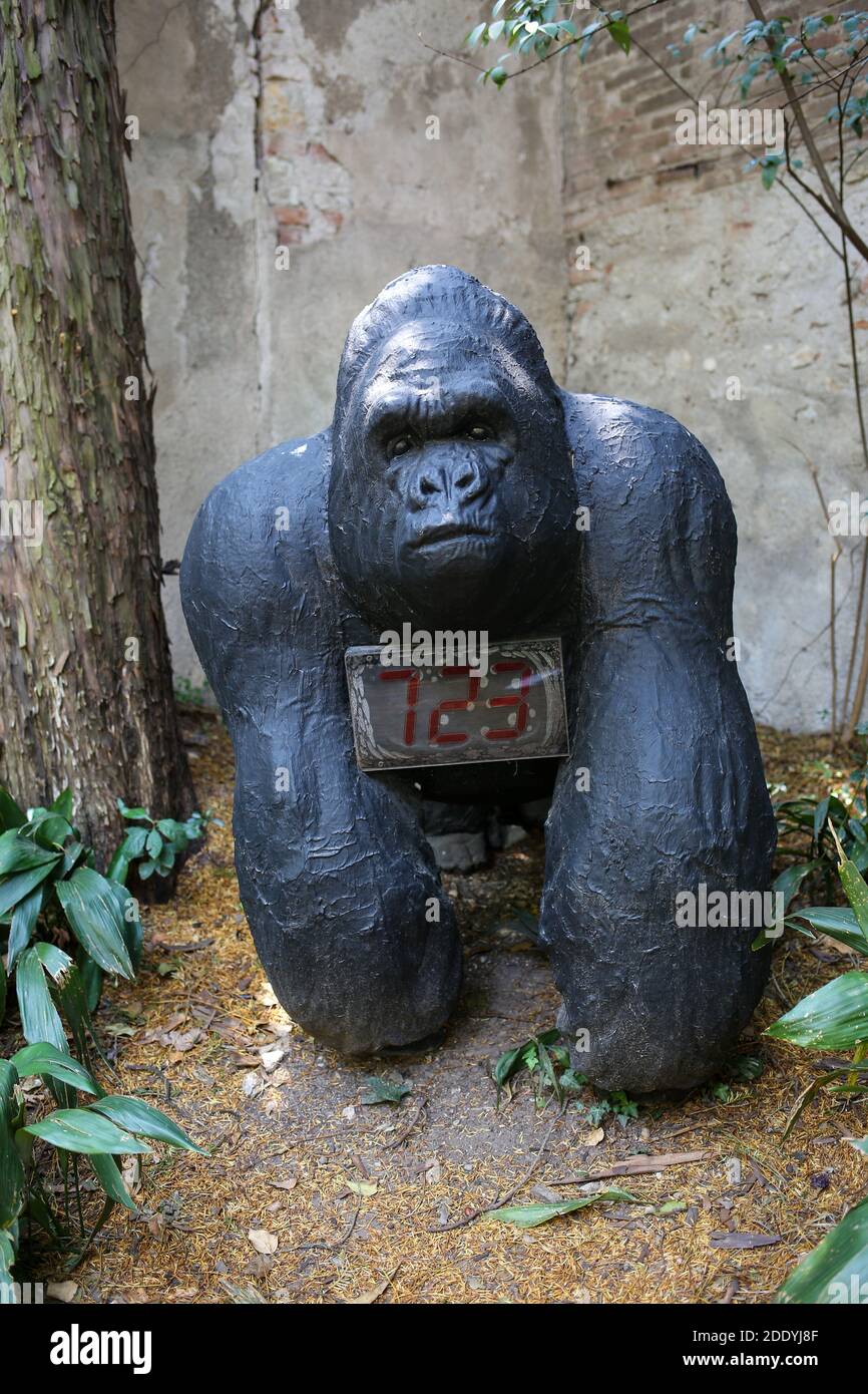 Gorilla white rhino sculpture hi-res stock photography and images - Alamy