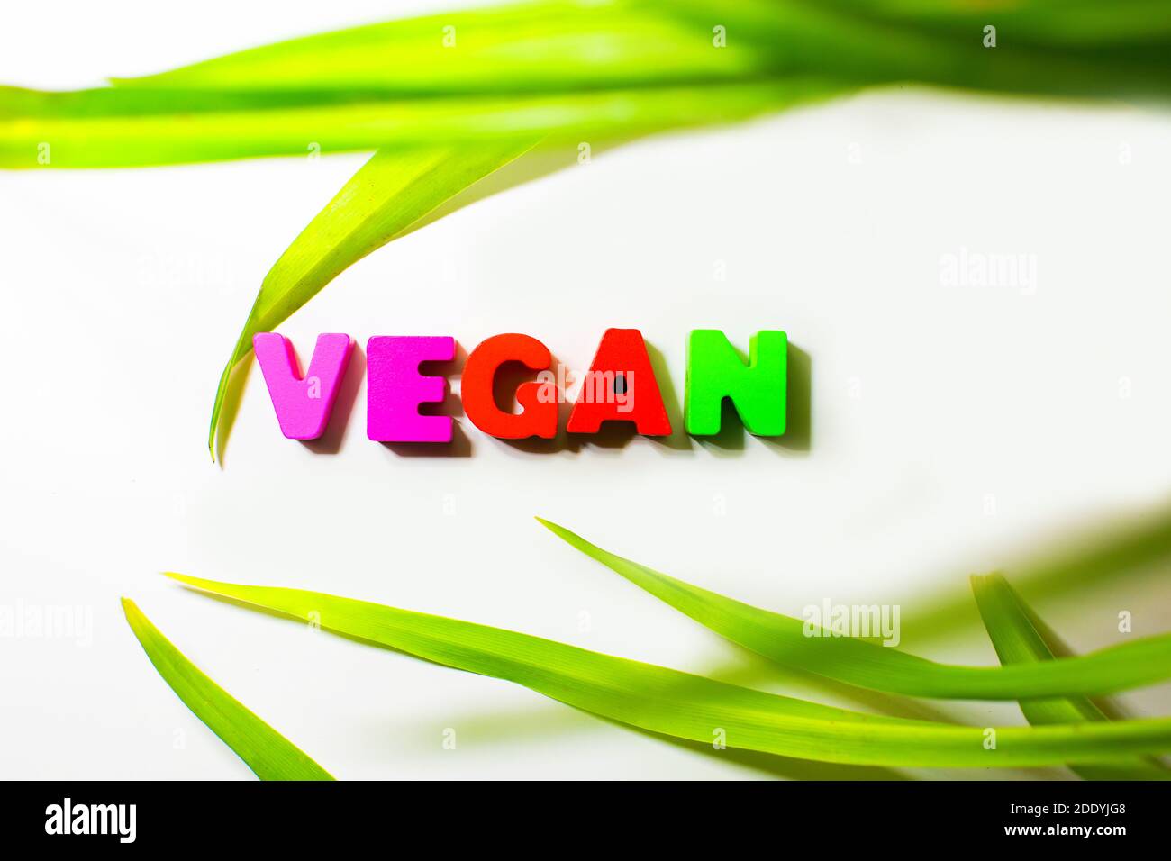 Wooden colorful text word Vegan with green fresh plant leaves at white ...