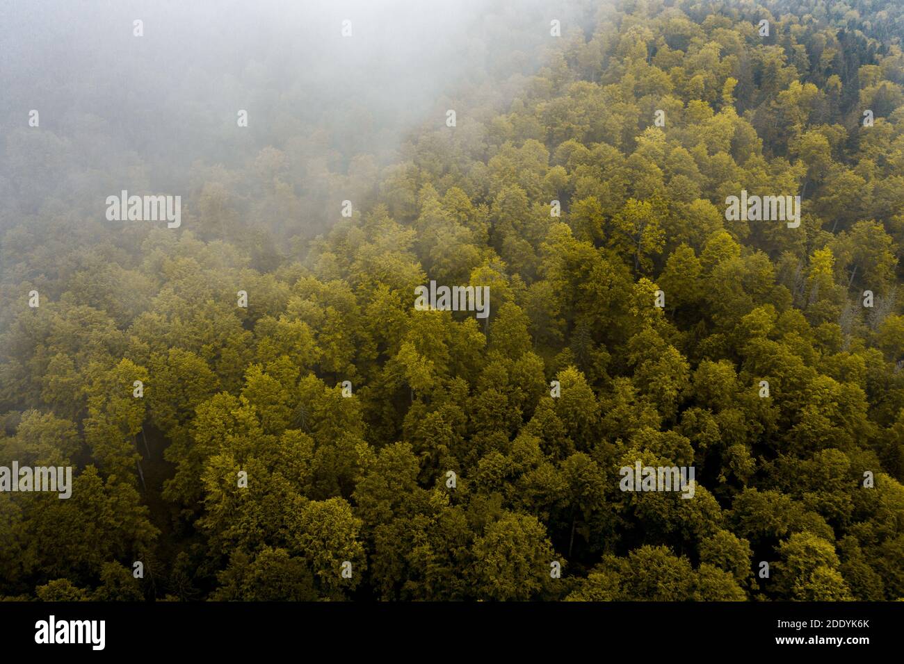 An aerial view of a natural landscape Stock Photo - Alamy