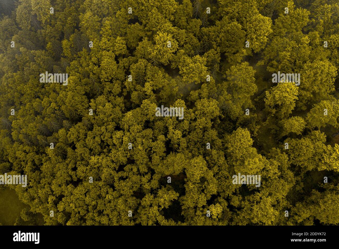 An aerial view of a natural landscape Stock Photo - Alamy