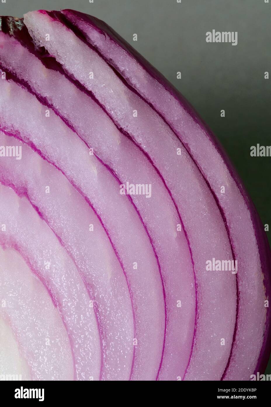 Food ingredients layers hi-res stock photography and images - Alamy