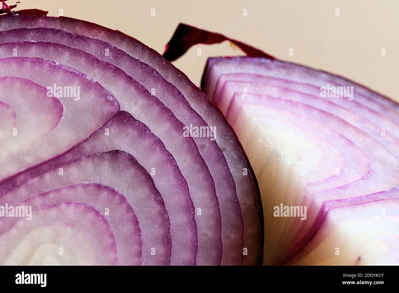 Layers of onion hi-res stock photography and images - Alamy