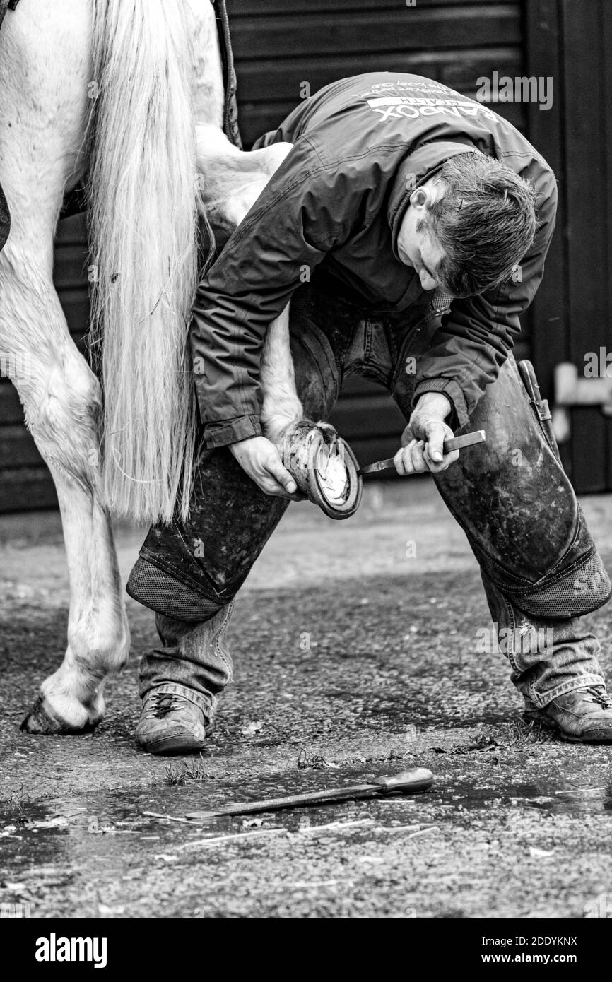 Working donkey Black and White Stock Photos & Images - Alamy