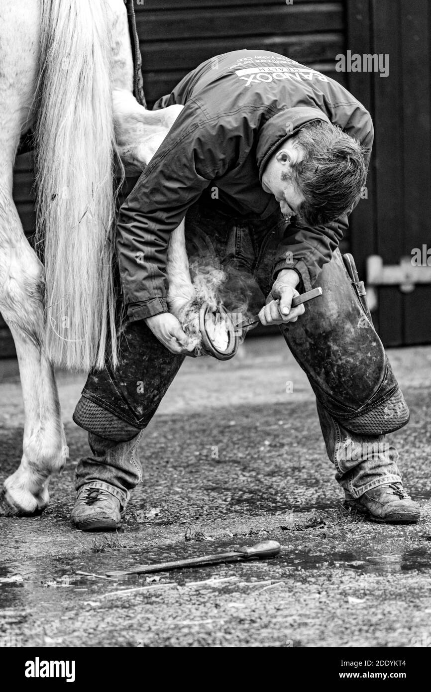 Farrier at work Stock Photo - Alamy
