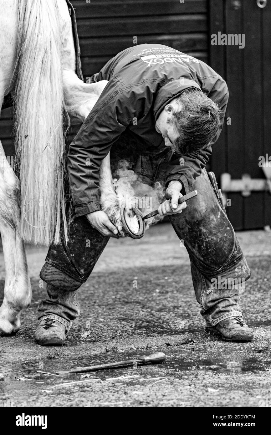 Work pony Black and White Stock Photos & Images - Alamy
