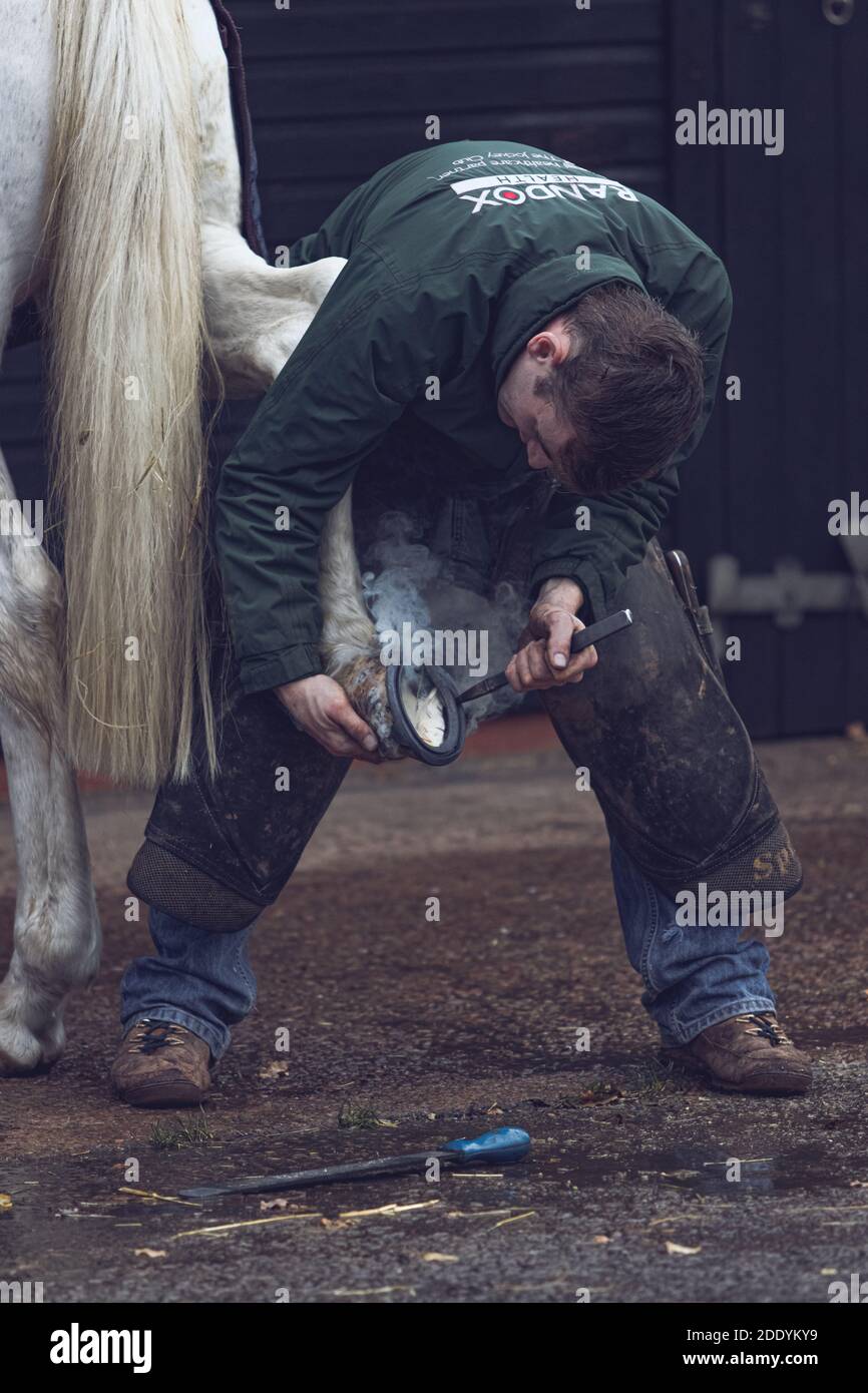 Farrier at work Stock Photo - Alamy