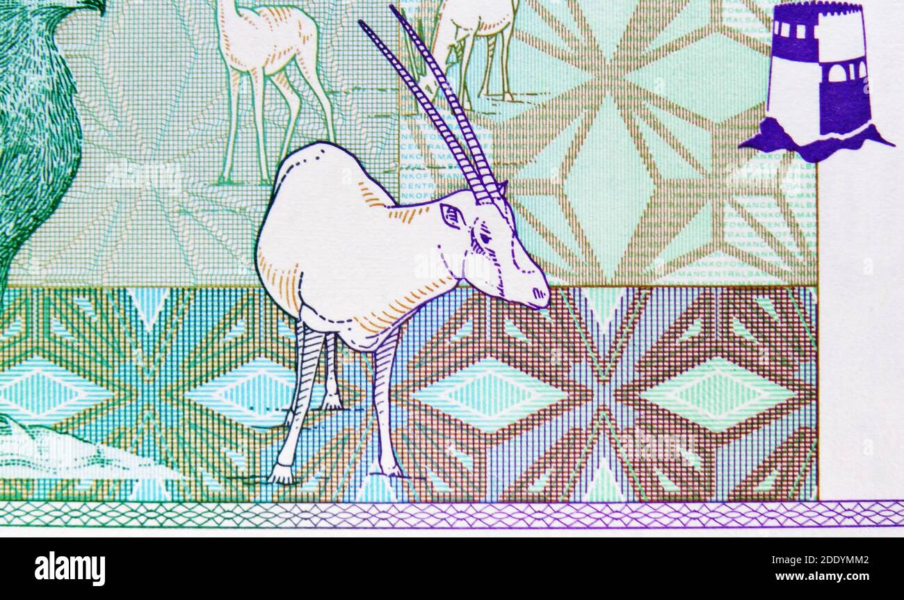 100 Baisa banknote, Issued on 1995, Bank of Oman. National currency ...