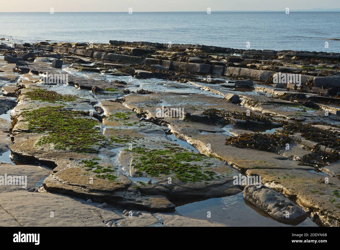 Low tide on the Somerset Coast at Kilve Beach reveals these Jurassic ...