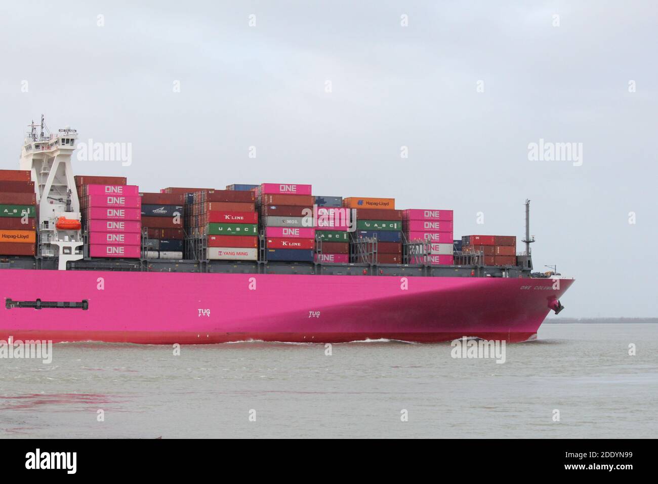 the nose of a big pink cargo ship full of containers closeup in the ...