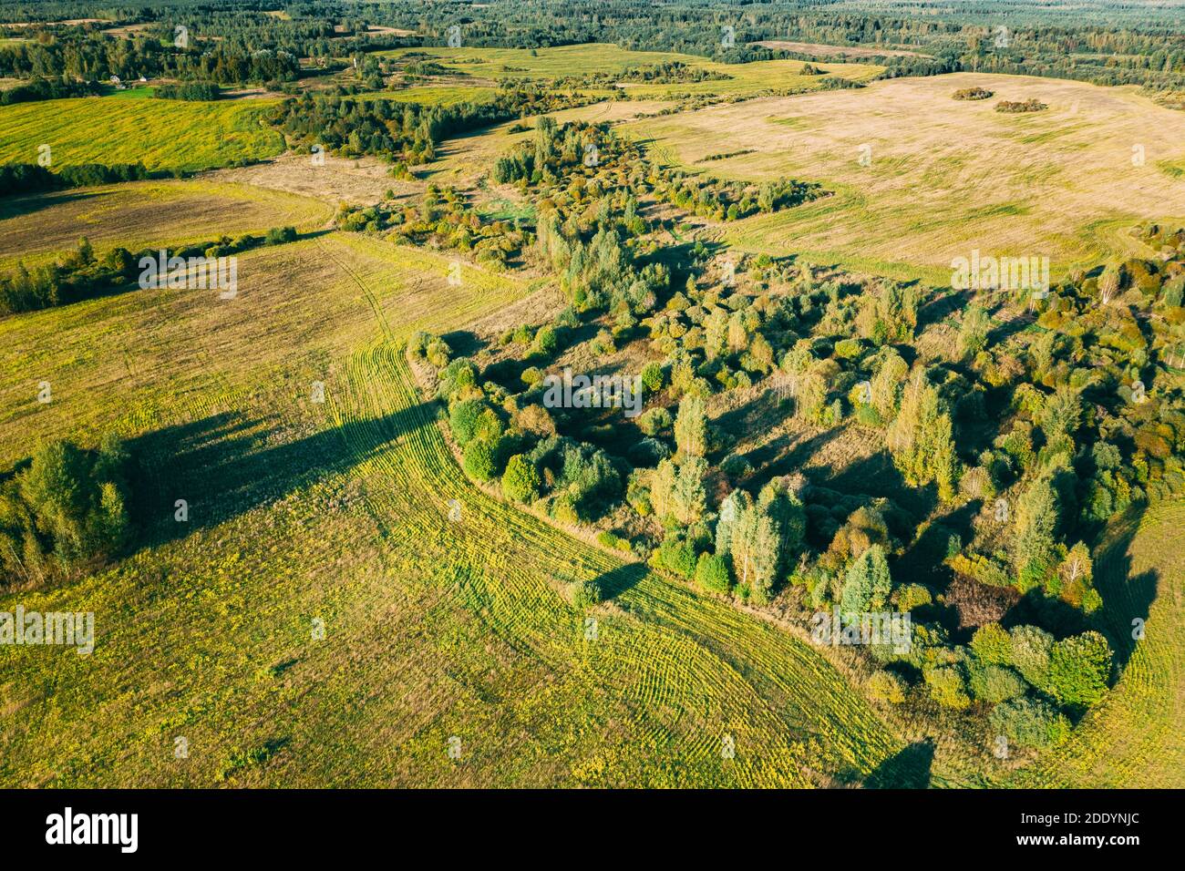 Aerial View Summer Green Meadow With Trimmed Grass And Forest Landscape ...