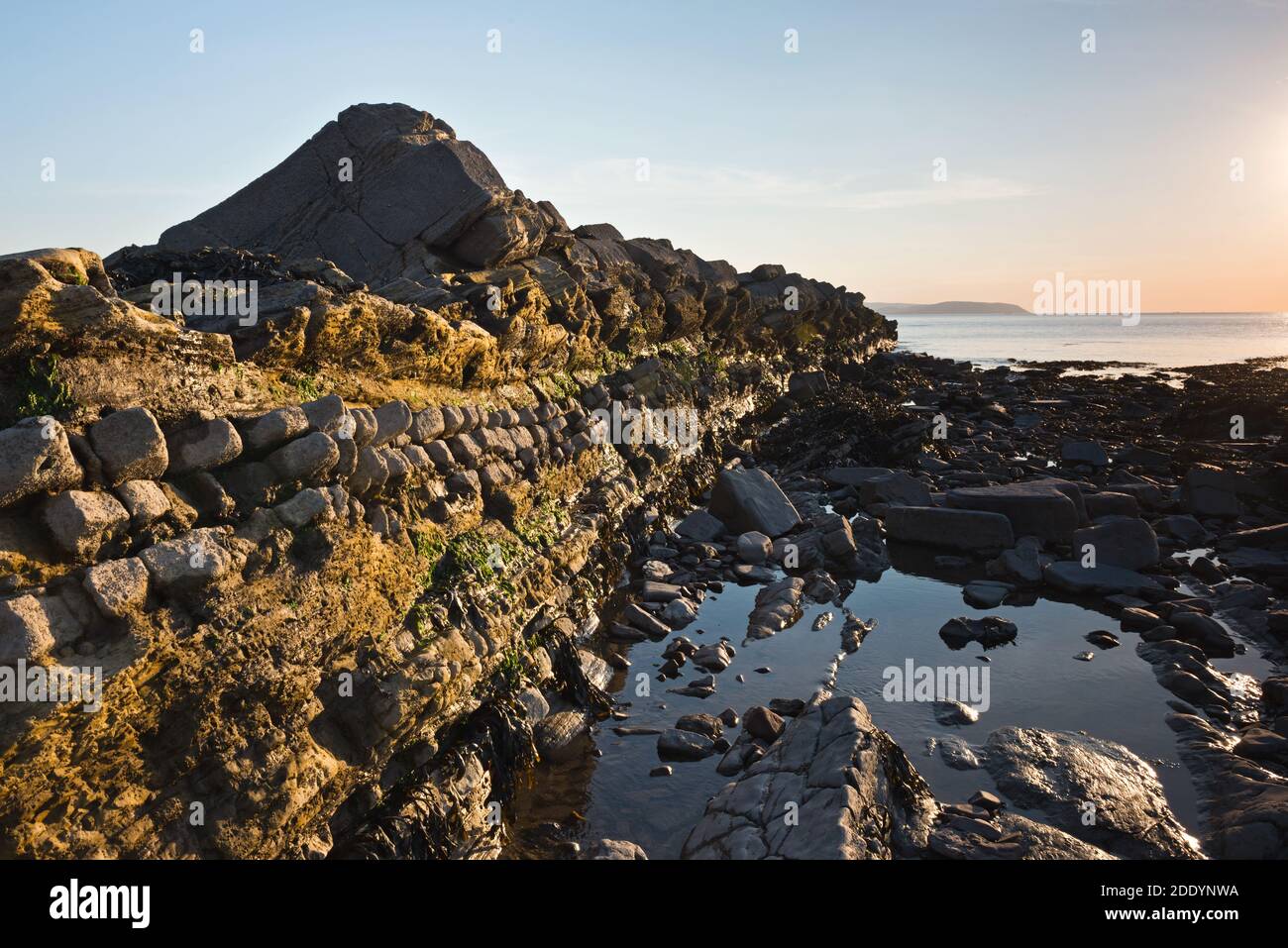 Low tide on the Somerset Coast at Kilve Beach reveals these Jurassic ...