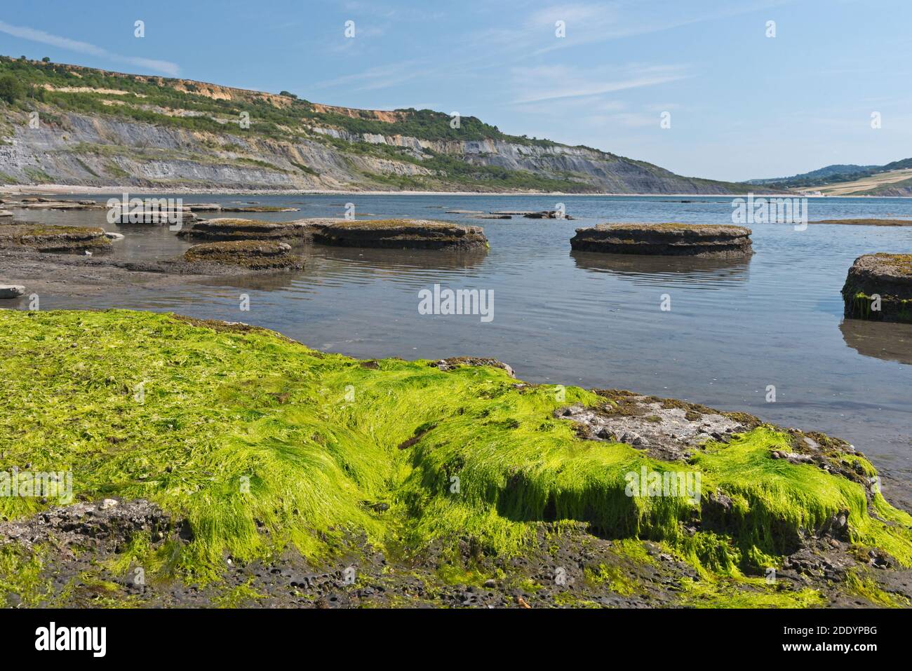 The rock ledges exposed at low tide in front of Church Cliffs at the ...