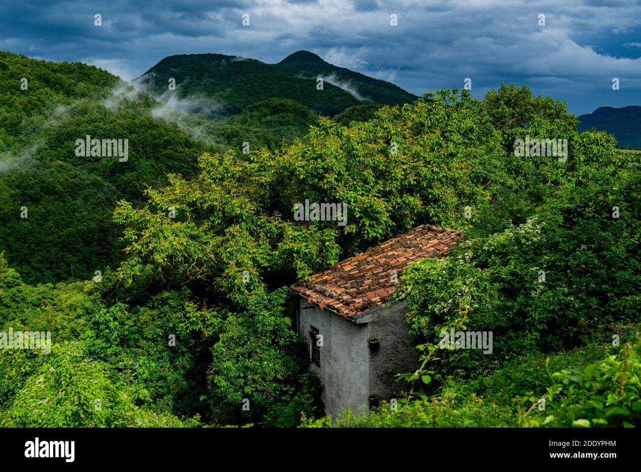 Abandoned overgrown house in the Italian mountains Stock Photo - Alamy