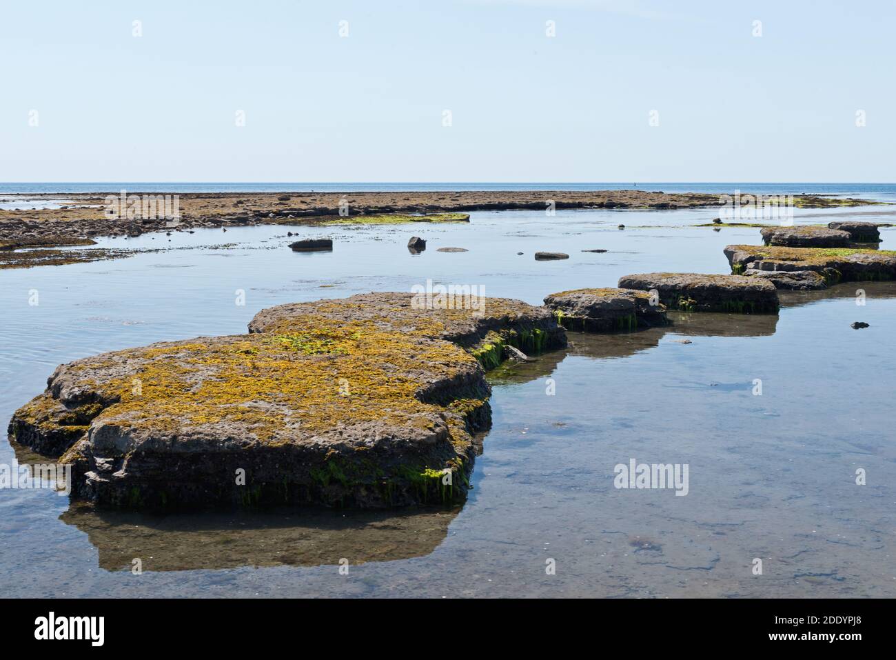 The rock ledges exposed at low tide in front of Church Cliffs at the ...