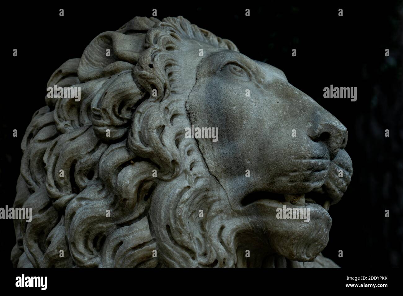 Roman lion statue hi-res stock photography and images - Alamy