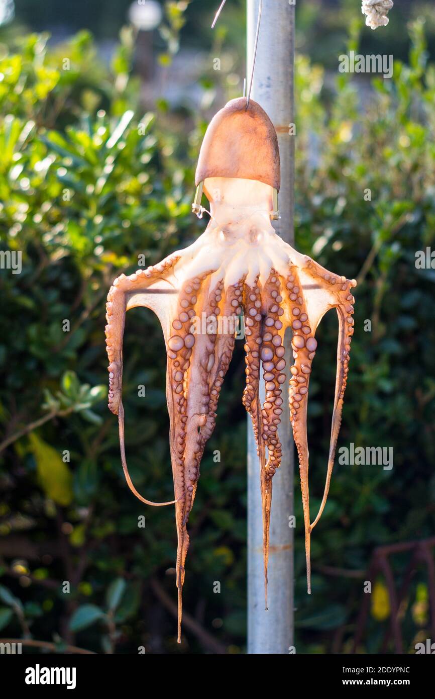 Himakajima island hi-res stock photography and images - Alamy